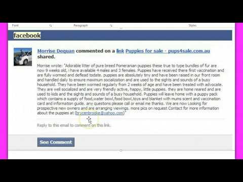 facebook-puppies-for-sale-scams-01