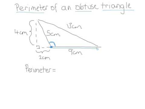 perimeter of an obtuse triangle