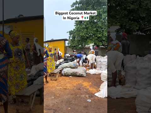 Biggest Coconut market In Nigeria, Badagry Lagos. #nigeria #badagry