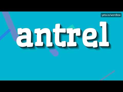 ANTREL - HOW TO PRONOUNCE IT!?