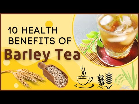 10 Amazing Health Benefits of Barley Tea - Fitness Bookz