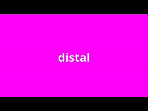 what is the meaning of distal
