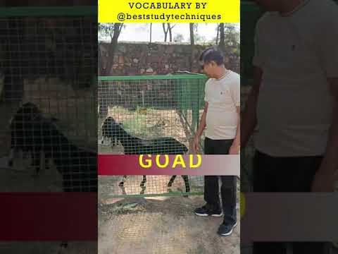 GOAD | VOCABULARY| ENGLISH WORD #vocabulary #wordpower #learn #mnemonics #funlearning #shorts
