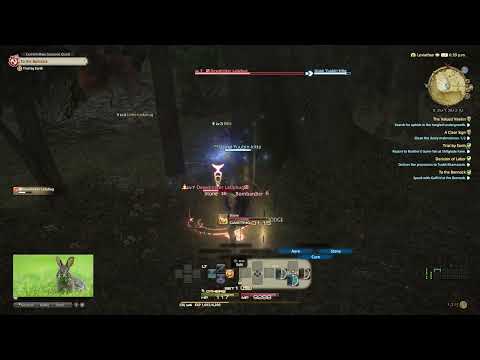 Steam Community :: Video :: Final Fantasy XIV ARR - SQ - The Valued Vilekin