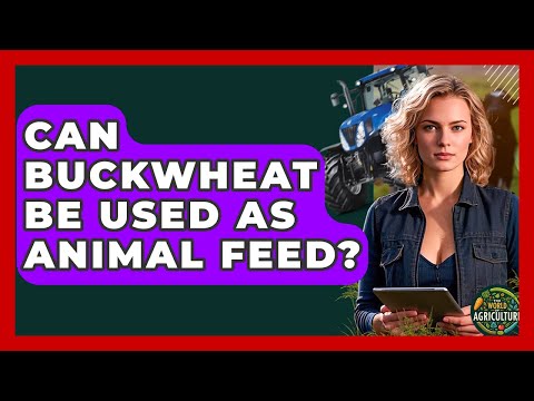 Can Buckwheat Be Used As Animal Feed? - The World of Agriculture