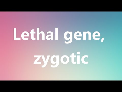 Lethal gene, zygotic - Medical Definition and Pronunciation