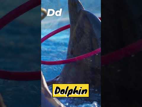 ABC Learning Letter D of Z | Words starting with D | English language #abcd #englishstudy #shorts