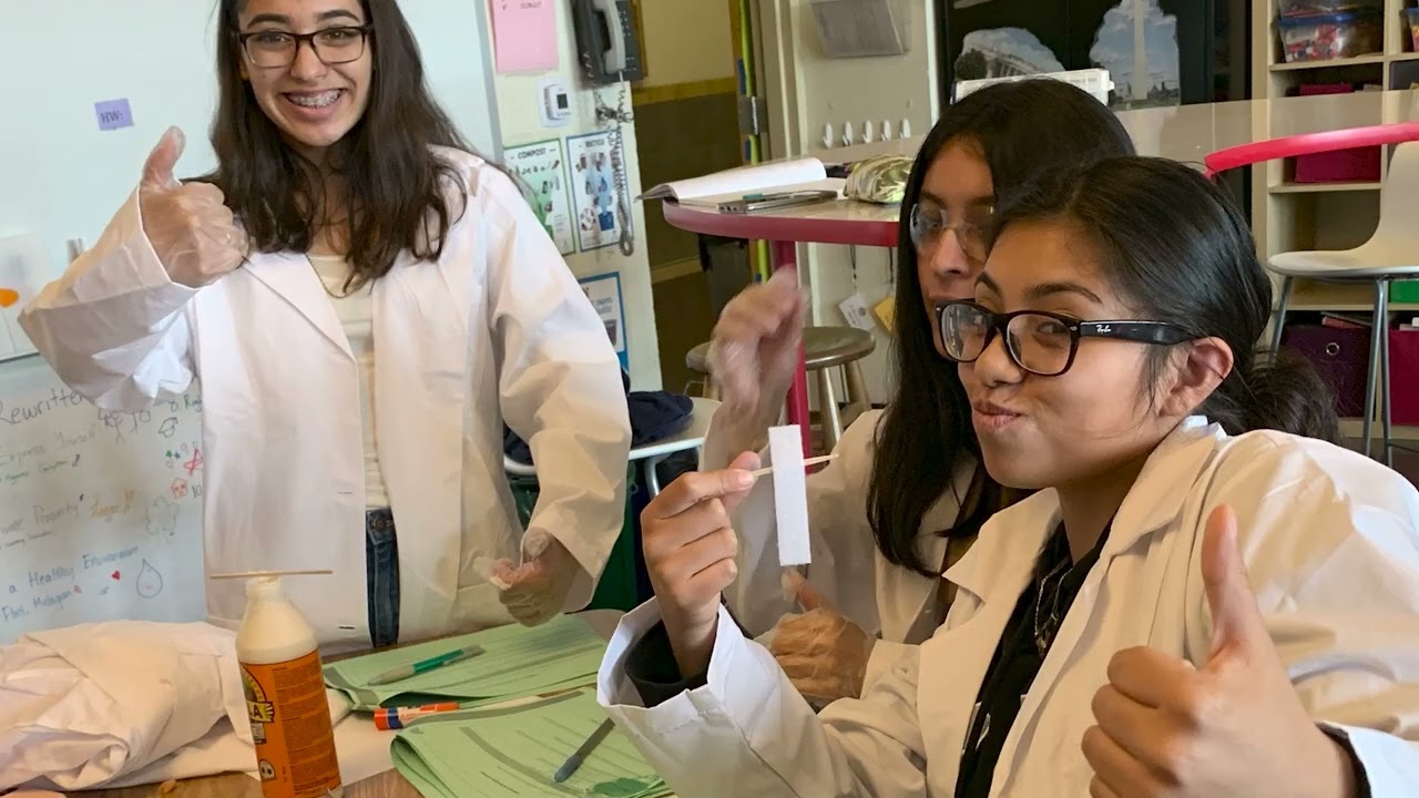 ALHS SF: Course Description Guide (2023)
