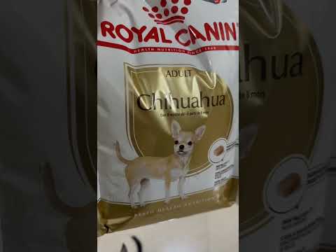 Royal Canin for chihuahua #shorts