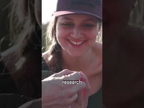 Welcome to Oregon State - Research