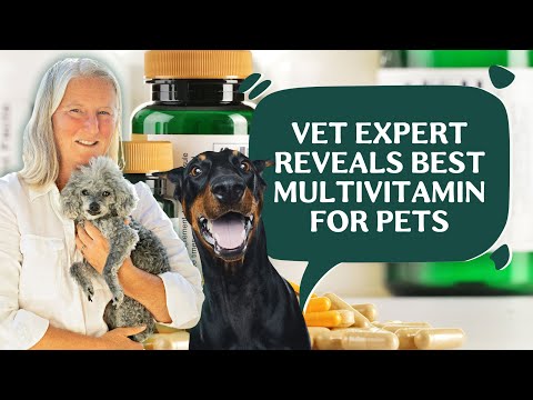 The Best Holistic Multivitamin For Cats & Dogs | Holistic Total Body Support