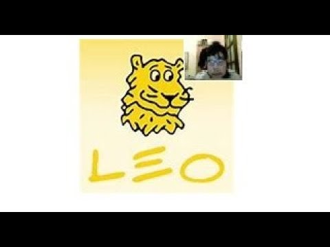 Leo Dictionary Review
