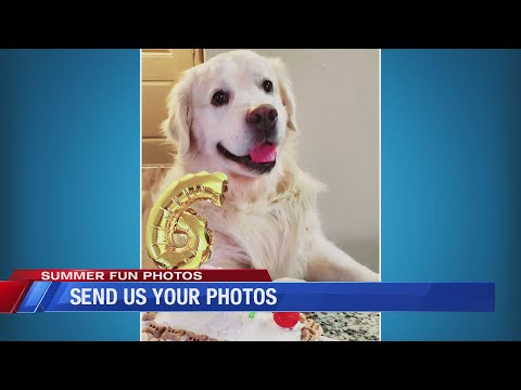 SUMMER FUN PHOTOS: Send us your pics!