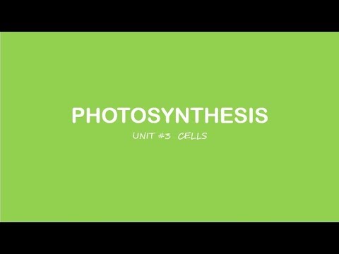 AP Biology: Photosynthesis