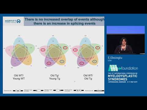 The S100A9/FTO Axis Induces Formation of RNA... - E. Eksioglu