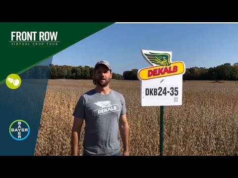The Front Row: DEKALB® Soybean Variety DKB24-35