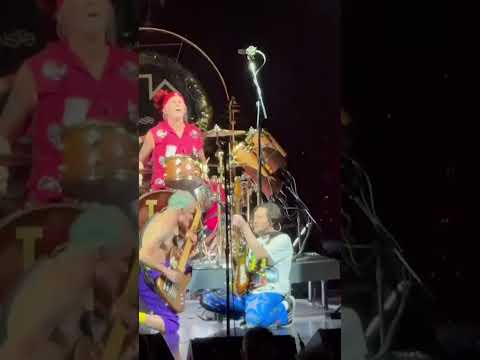John Frusciante Tuning His Guitar During Can't Stop=EVERYTHING! #johnfrusciante #redhotchilipeppers