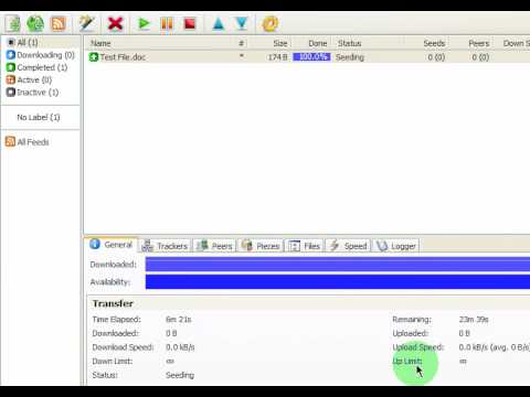 How to check seeding time with utorrent/bittorrent