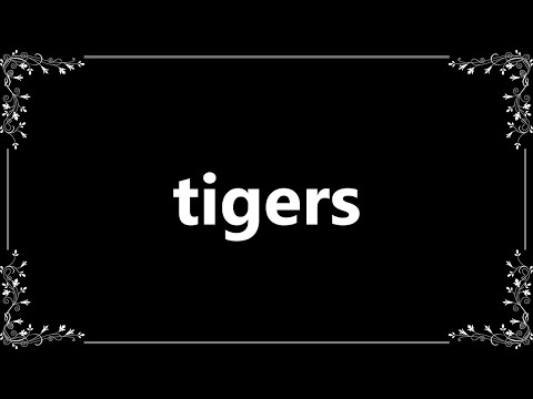 Tigers - Definition and How To Pronounce