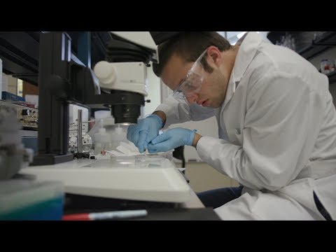 On the frontiers of brain chemistry from his first year