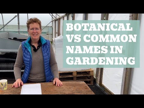 Why Myself & The Horticultural Industry Prefer To Use Botanical Names over Common Names