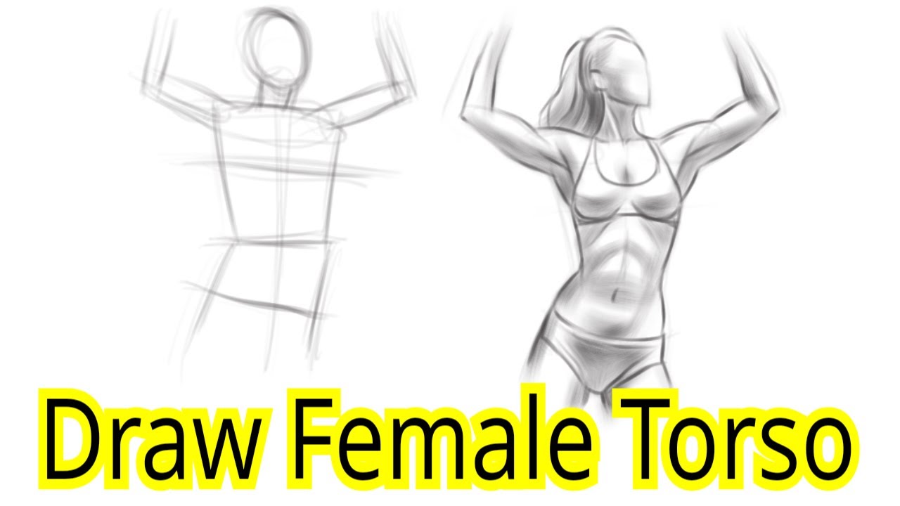 How to Draw a Female Torso Step by Step For BEGINNERS | Drawing Anatomy Made Easy