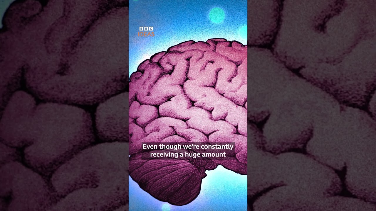 Life is pretty hectic. Should you be trying to multitask? #BBCIdeas