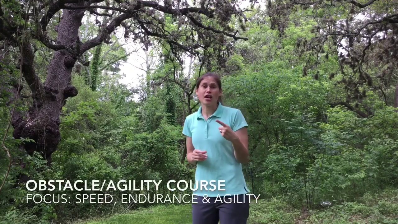 Weekly PE Assignment  #4