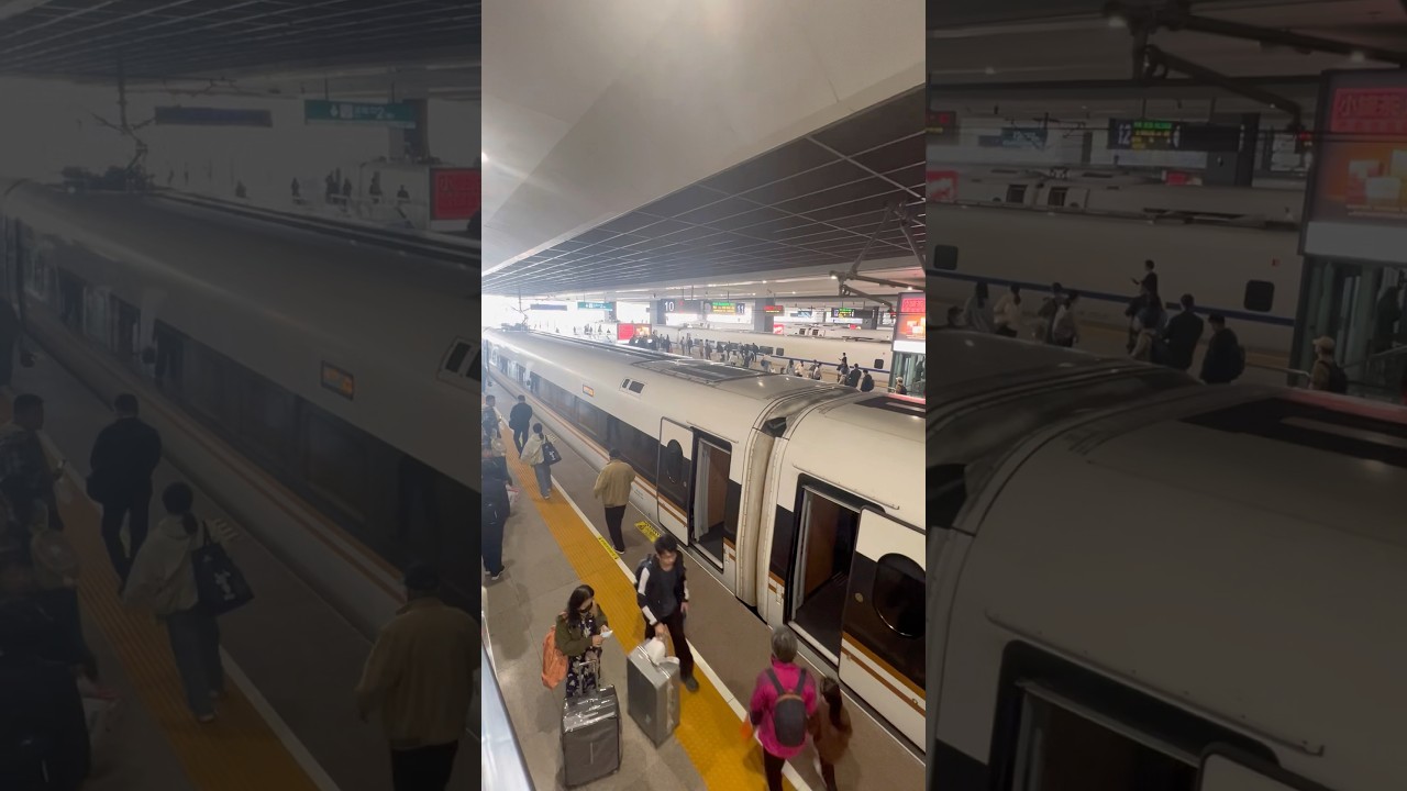 From Shanghai to Hangzhou in Minutes 🇨🇳🚄 | Inside China’s High-Speed Rail Experience