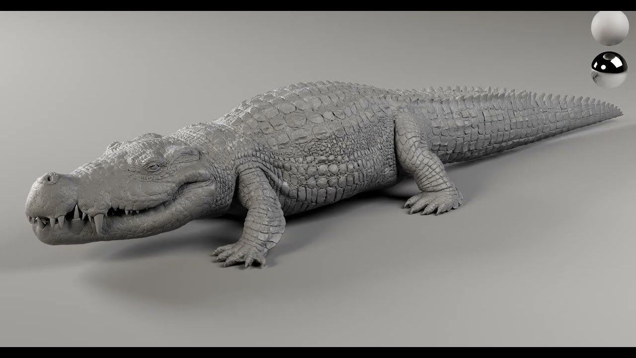 Crocodile 3D Model Turntable for VFX