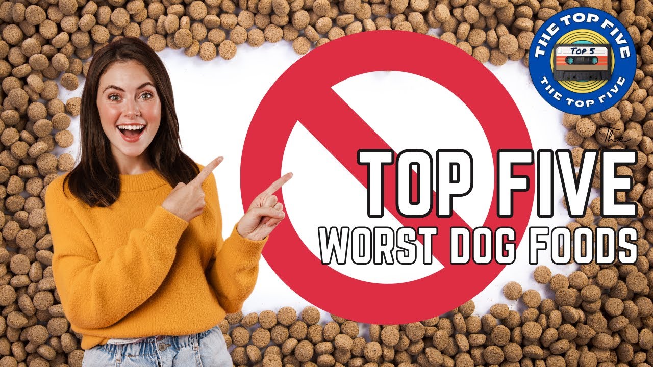 Top 5 Worst Dog Foods to Avoid [4K]