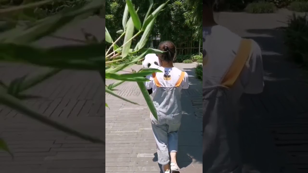 Cute baby panda waving to the cameraperson 🥺💕 #shorts