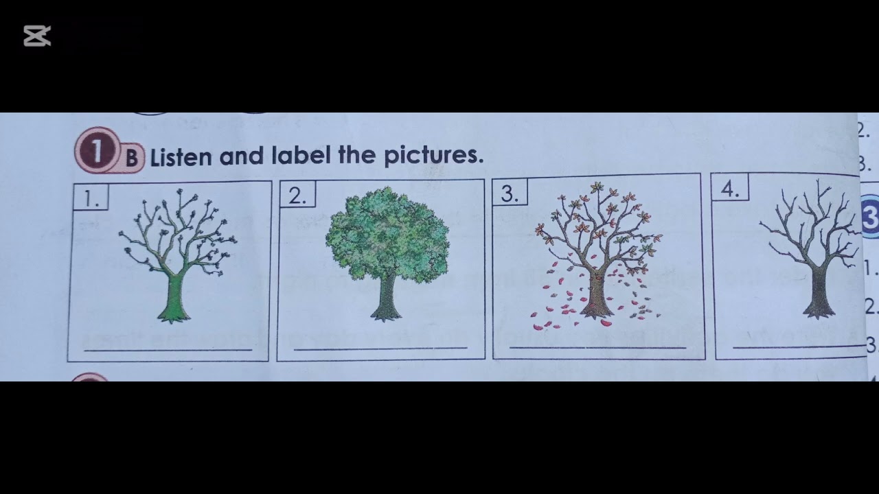 Grade 5 Unit 2 Lesson 2 Exercise 1B Listening and Speaking