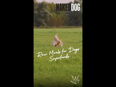 Superfoods For Dogs: Boost Your Dog’s Health with Naked Dog!