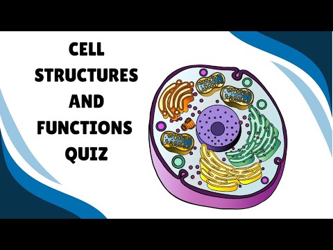 Cell Structures and Functions - Cell Organelles Quiz - Best Exam Review for Students / Kids