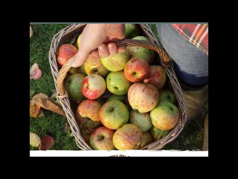 March's Seasonal Fruits and Vegetables