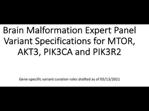 ClinGen Brain Malformations Variant Curation Expert Panel