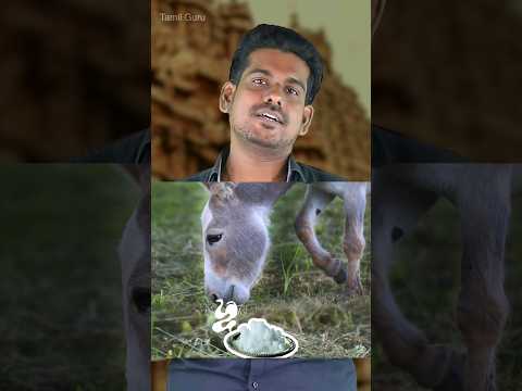 பணக்காரர்கள் மட்டும் பயன்படுத்துனாங்க... #tamilguru #tamilinformation #naveenbharathi