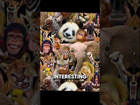 Top 10 Amazing Facts About Animal #facts #usa #shorts