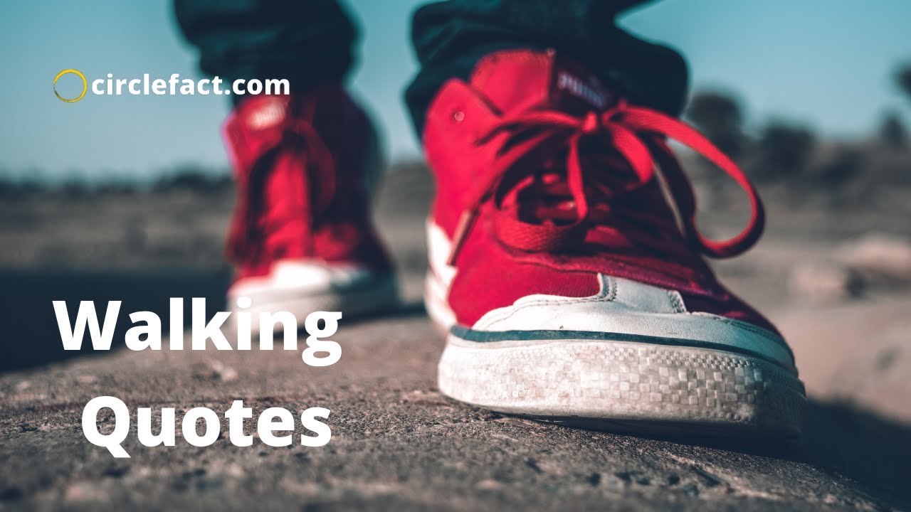Walking Quotes     #shorts #circlefact