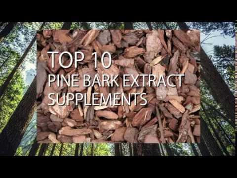 Top 10 Pine Bark Extract Supplements