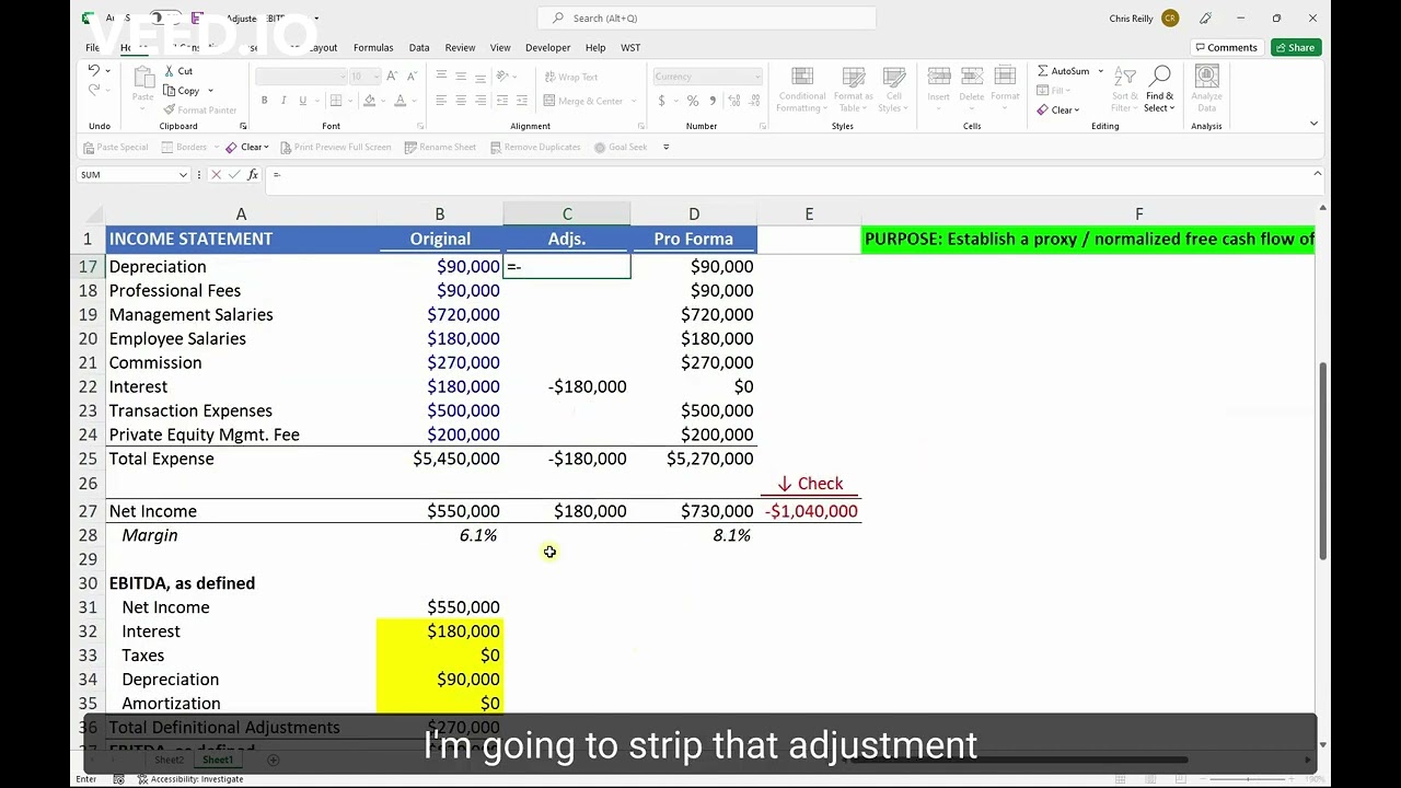 Pro forma income statement
