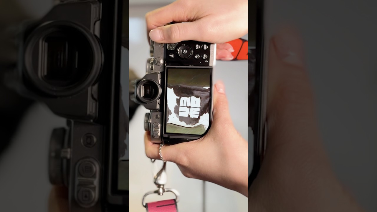 It’s International Creator Day! #modebyflickr #CreatorDay