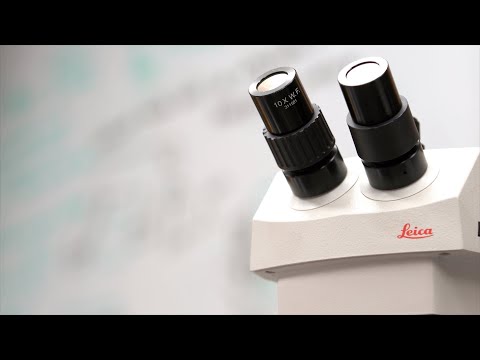 Getting a Job at A Research Intensive PUI: Full Video