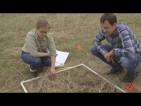 Vegetation Sampling