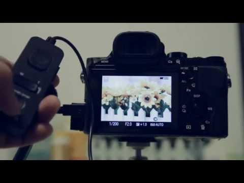 Sony A7s x FOTGA RM VS-1
