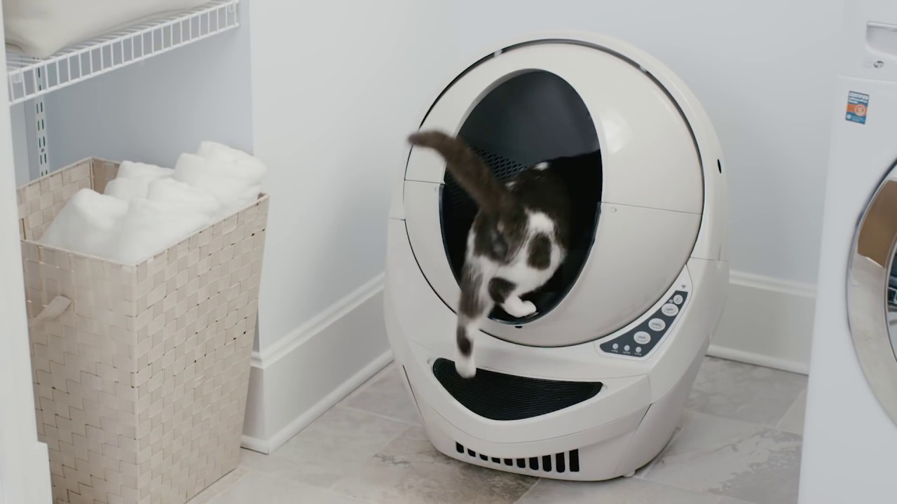 How Litter-Robot 3 Works - The Revolutionary Self-Cleaning Litter Box