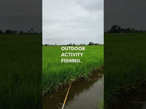 Sungai Besar Selangor Day Trip