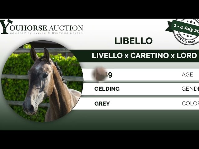 Youhorse.auction | Libello