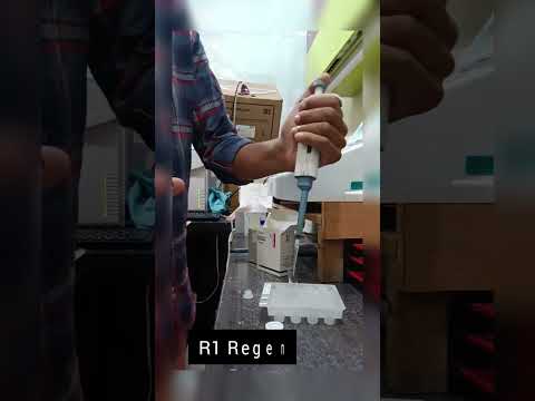 Ige test !! Immunoglobulin E (IgE) #immunoglobulin #immunoglobulins #viral #shorts #short #test
